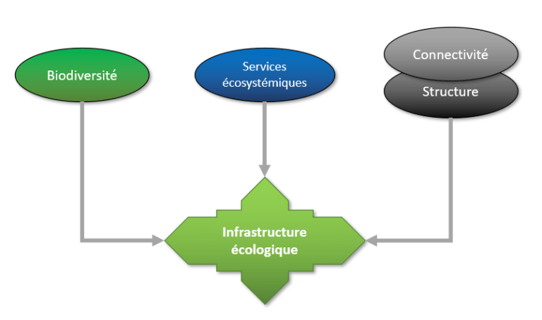 Services écosystémiques et conservation de l’environnement : la nature ...